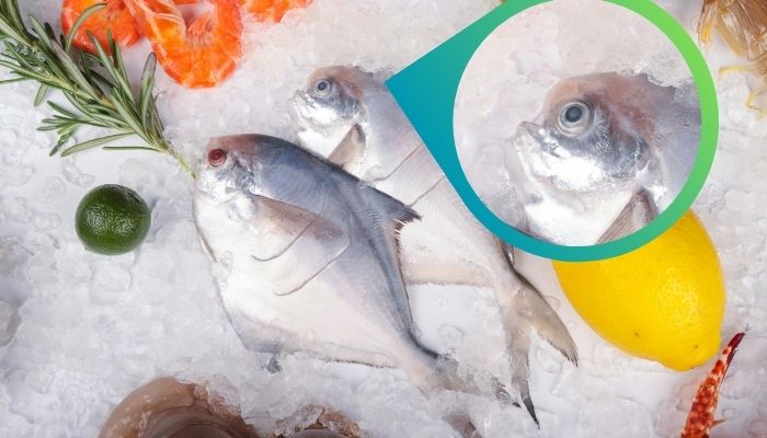 How to Pick the Freshest Fish at the Grocery Store or Market – Vibrant ...